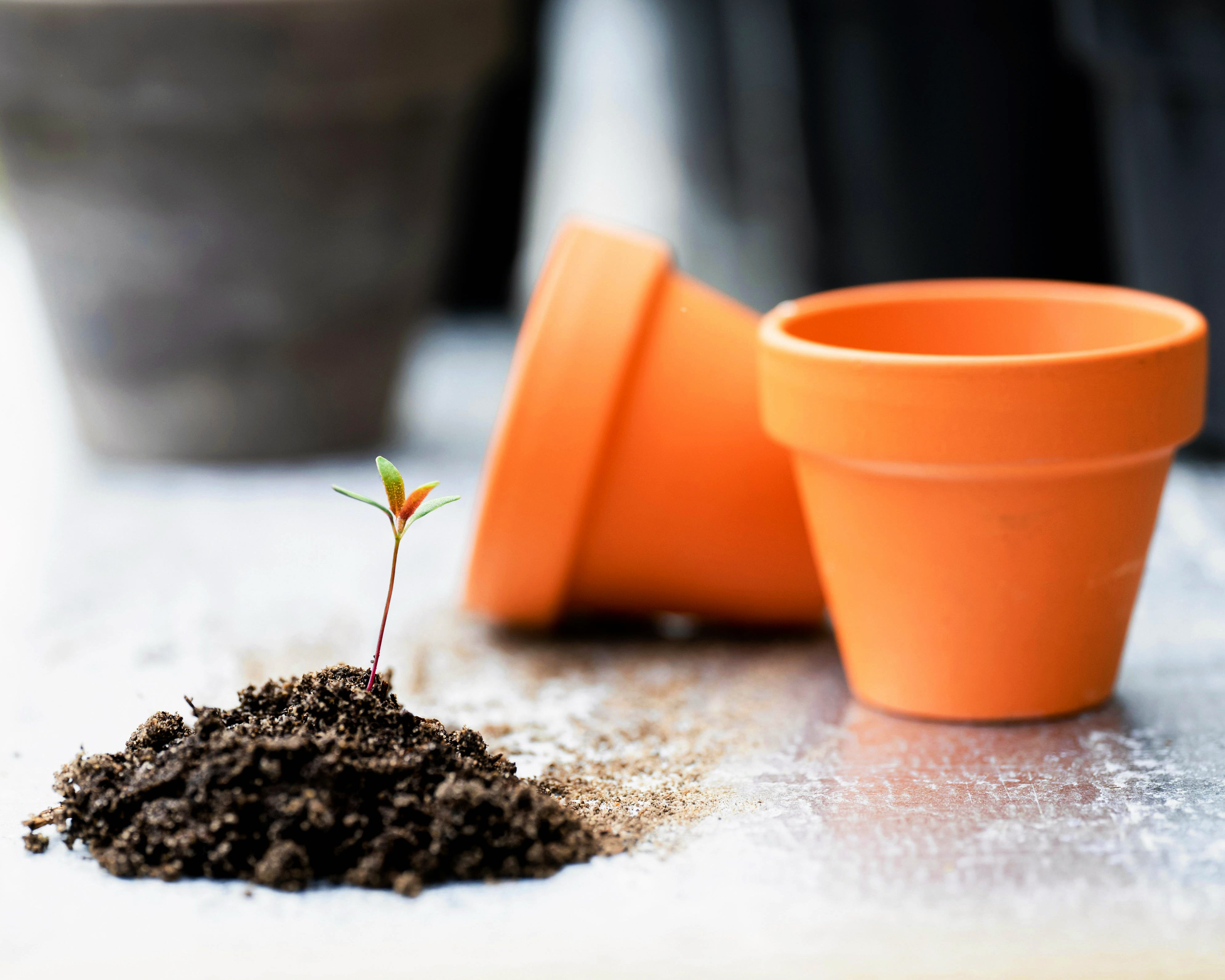 Compost – Brookside Garden Centre